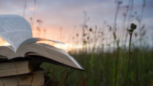 Upper Etowah River Alliance – Protecting the Etowah River through ...